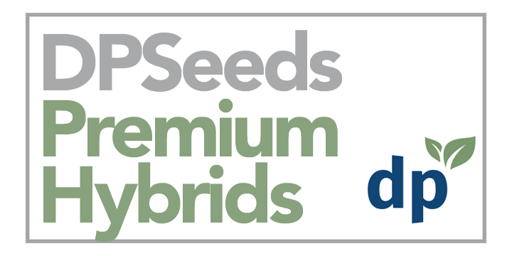 DP Seeds Premium Hybrid Vegetable Seed Varieties – NE SEED