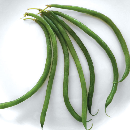 Petite Filet French Green Bush Bean Seeds – NE SEED