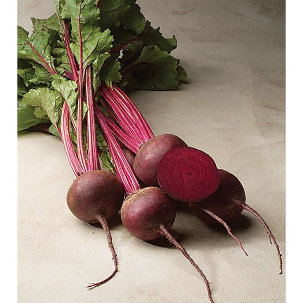Red Ace F1 Hybrid Beet Seeds – NE SEED