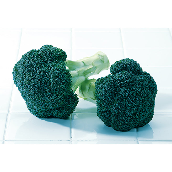 Broccoli Seeds – NE SEED