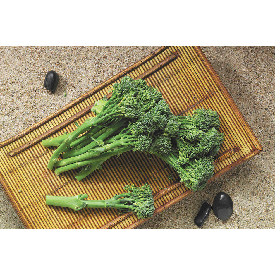Broccoli Seeds – NE SEED