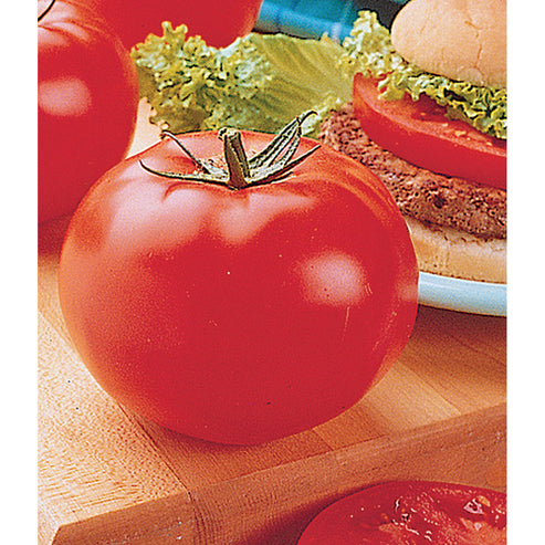 Big Beef Plus Hybrid Tomato Seeds – NE SEED