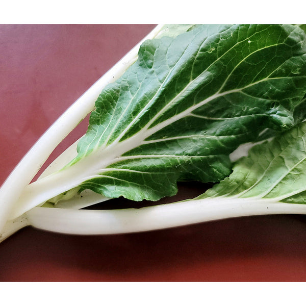 Certified Organic White Stem Pak Choi Cabbage Seeds – NE SEED