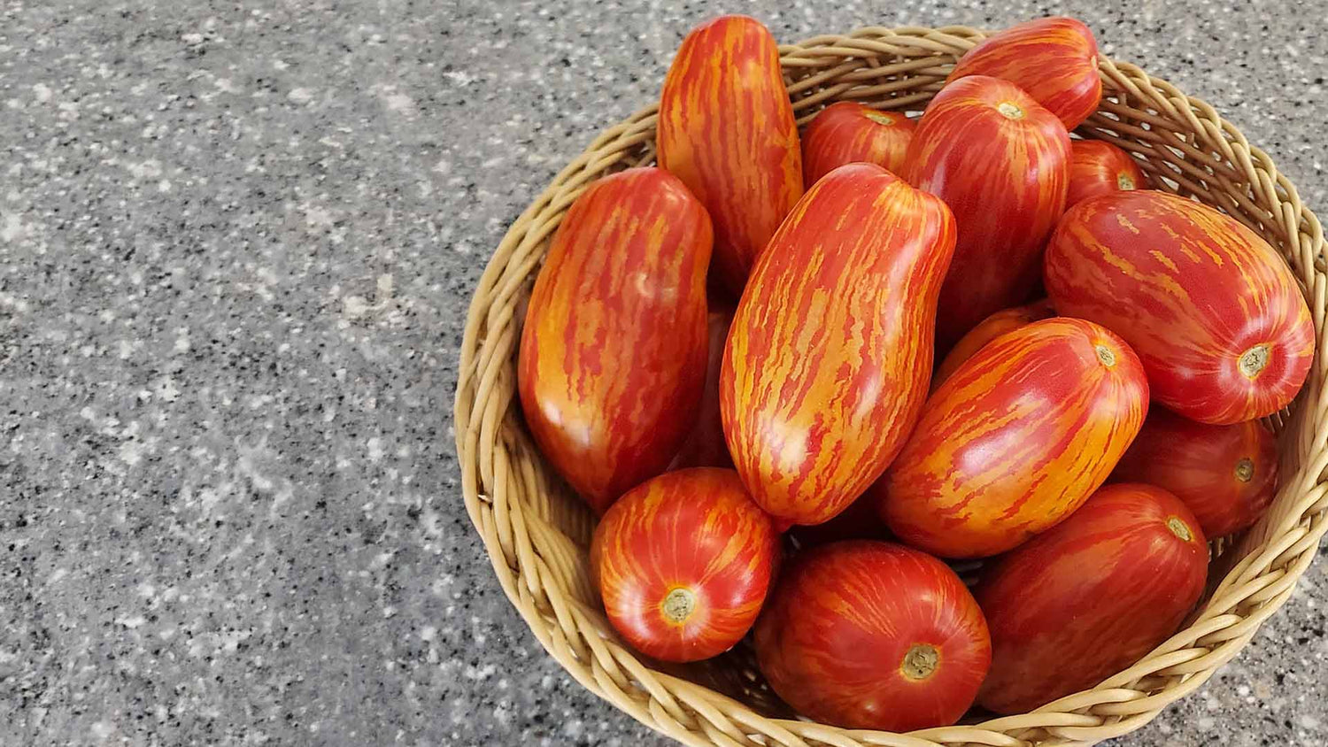 Commercial Seeds in Bulk & Packets for Professional and Garden Growers ...